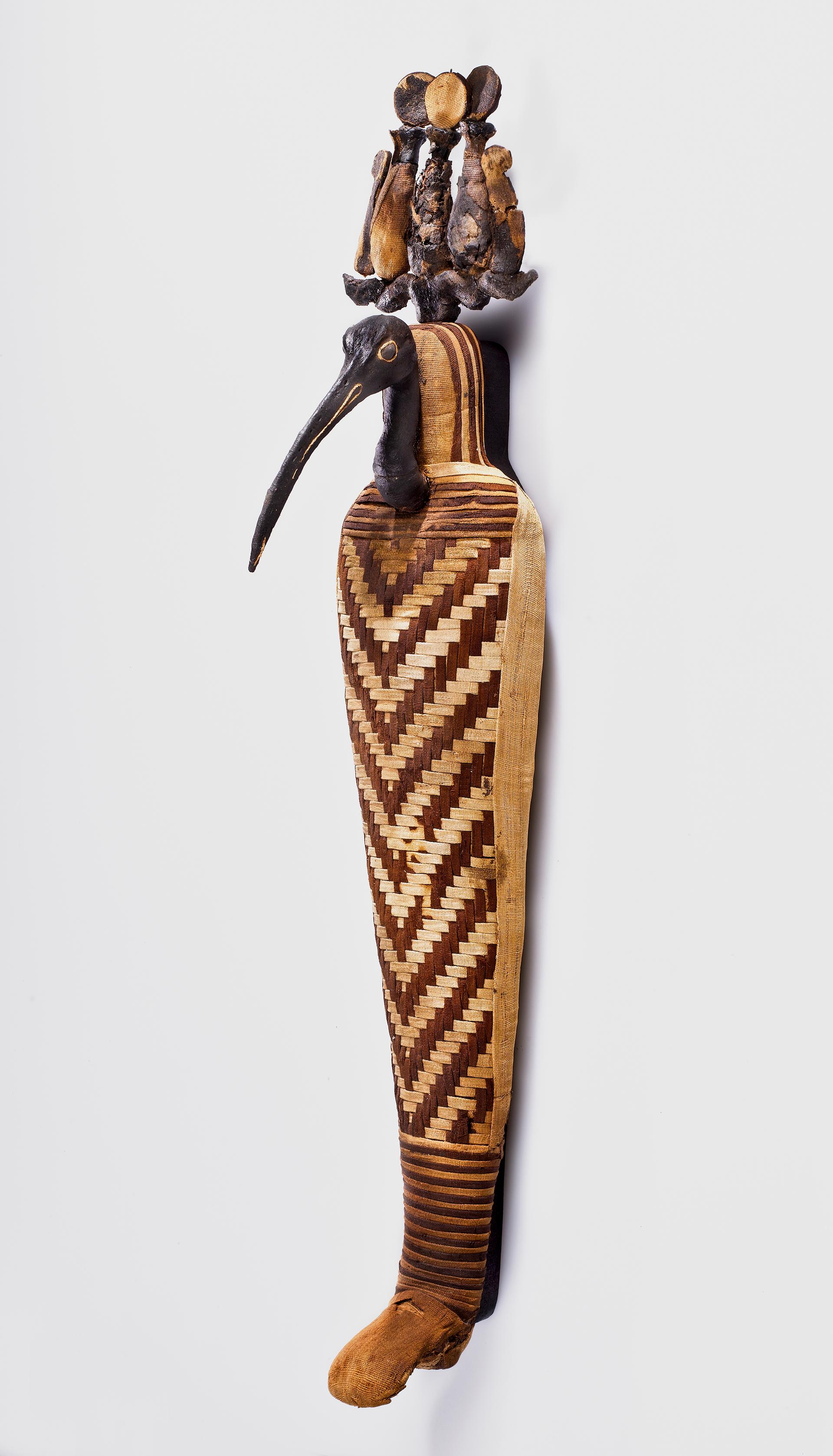 Soulful Creatures: Animal Mummies in Ancient Egypt · Brooklyn Museum