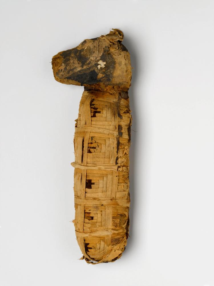 Soulful Creatures: Animal Mummies in Ancient Egypt · Brooklyn Museum