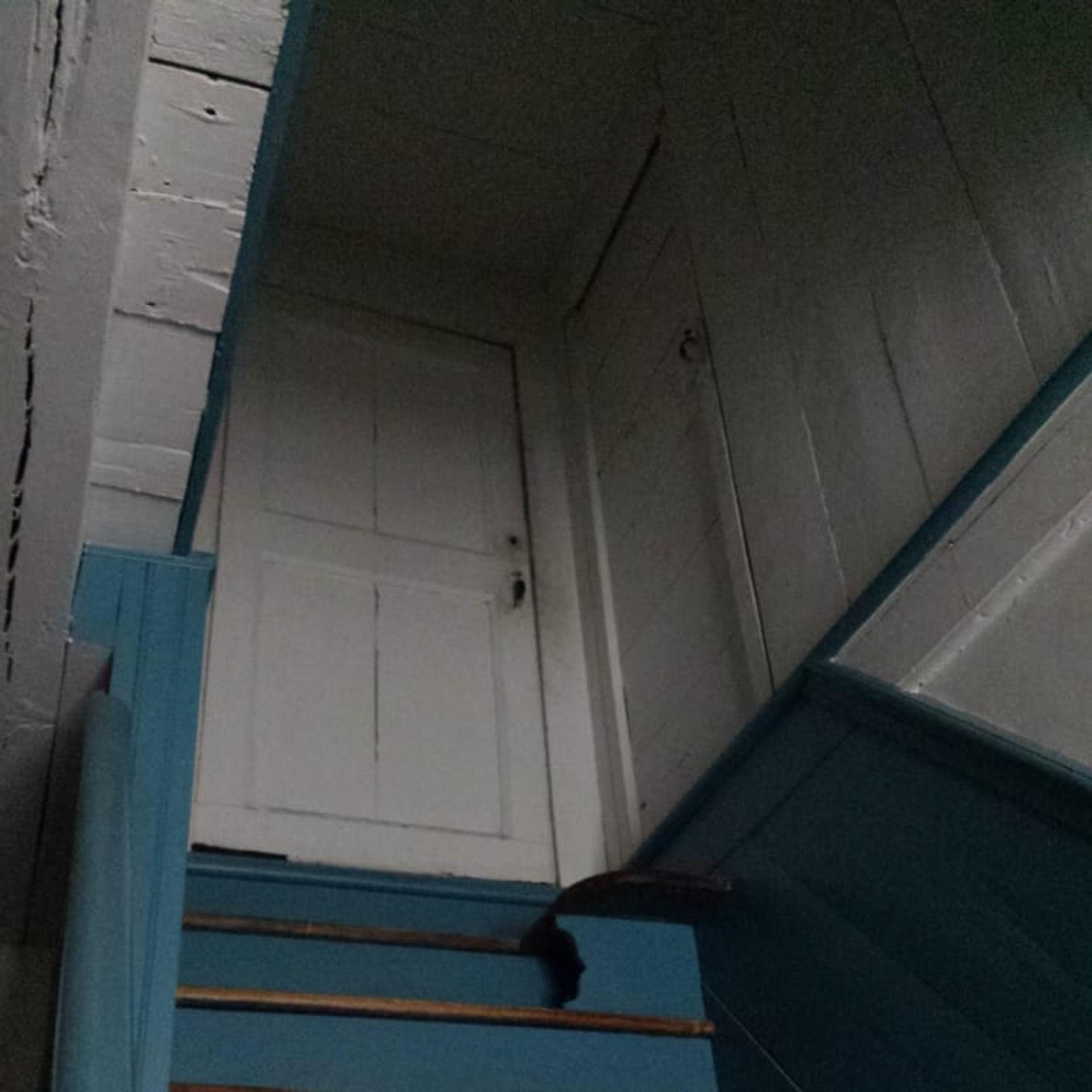 Nicholas Schenck House from Canarsie Park · Brooklyn Museum