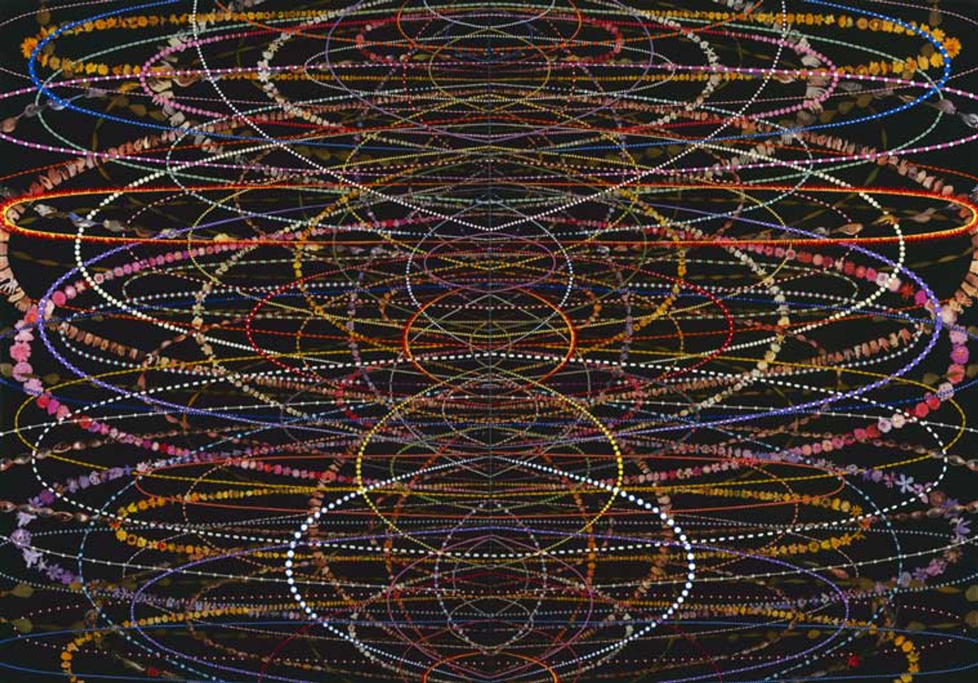 Fred Tomaselli · Brooklyn Museum