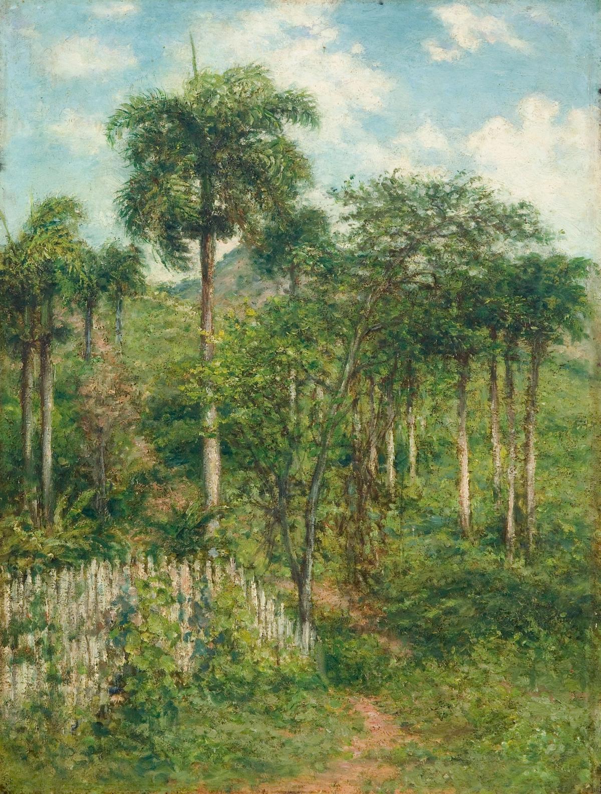 Impressionism and the Caribbean: Francisco Oller and His Transatlantic ...