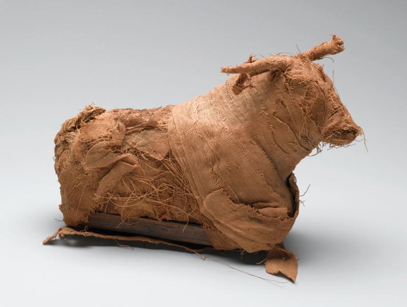 Soulful Creatures: Animal Mummies in Ancient Egypt · Brooklyn Museum
