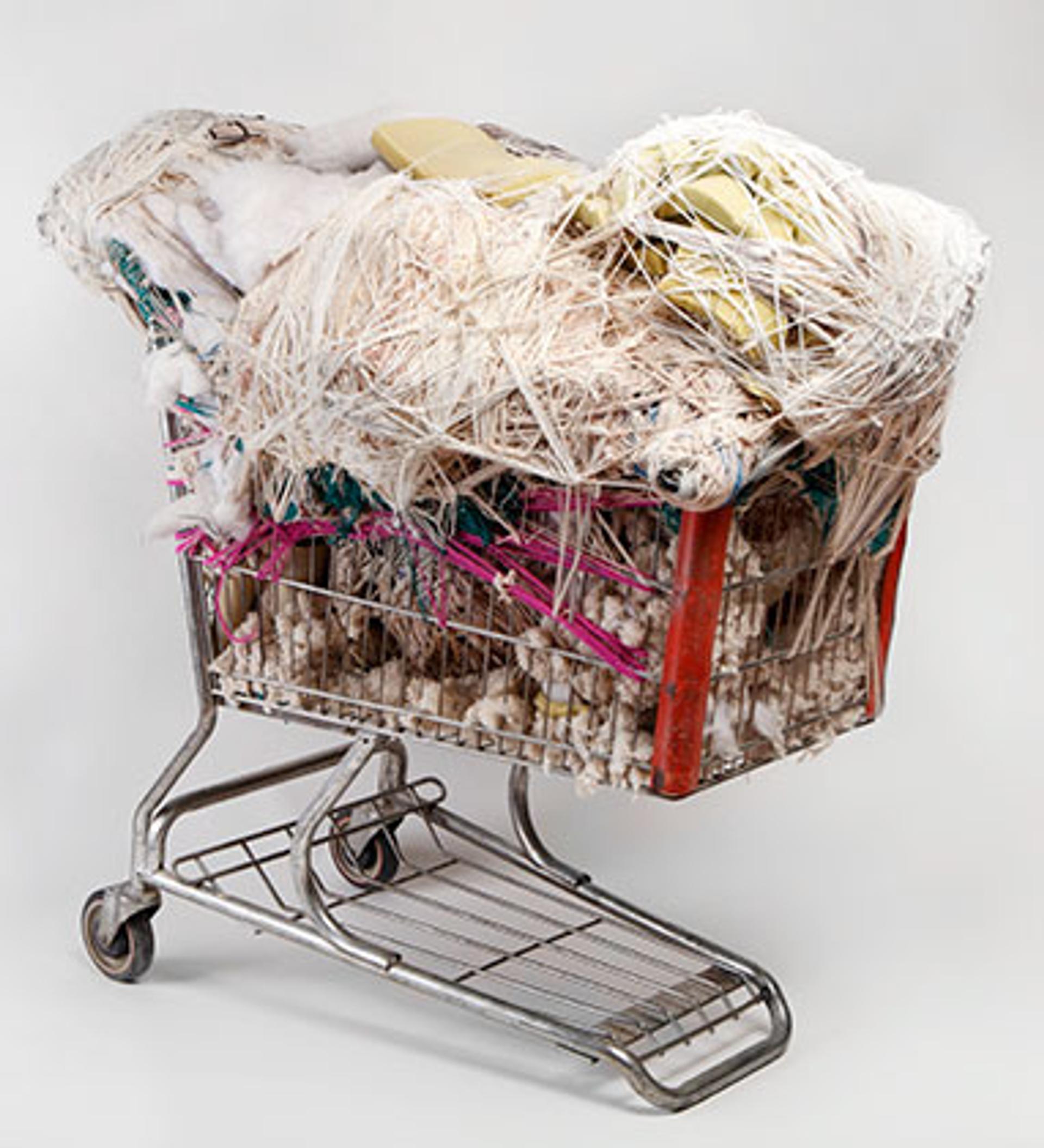 Judith Scott—Bound and Unbound · Brooklyn Museum