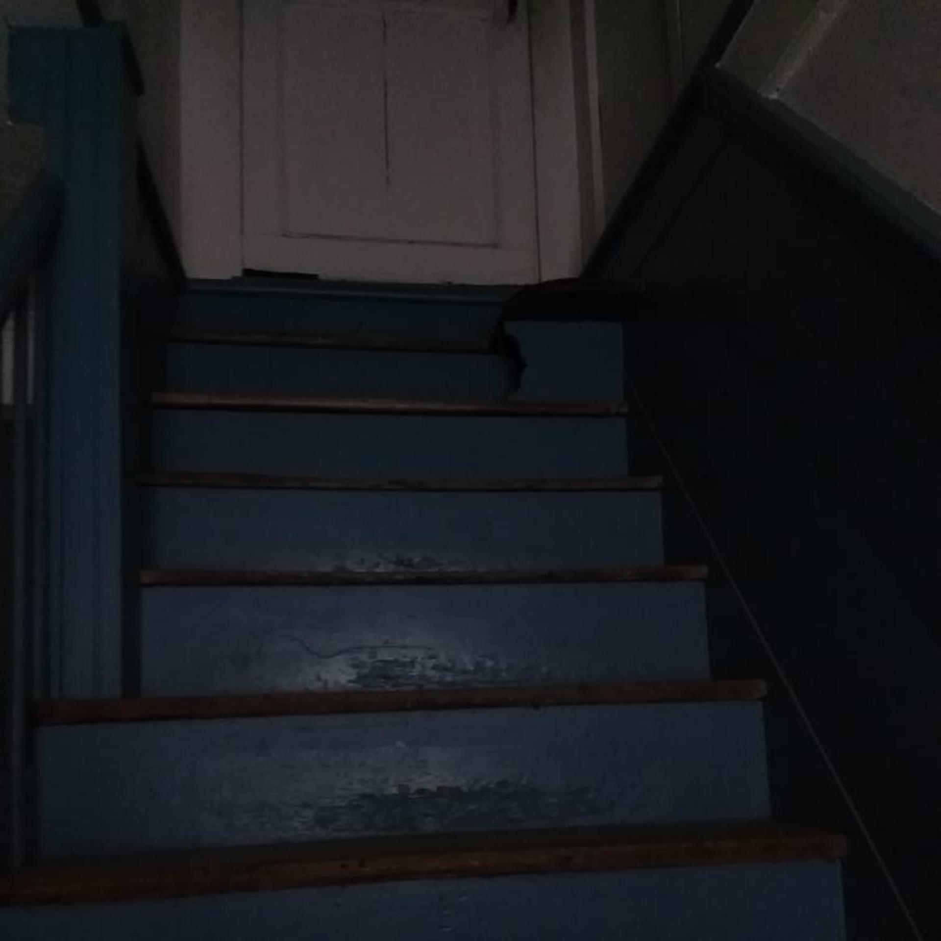 Nicholas Schenck House from Canarsie Park · Brooklyn Museum