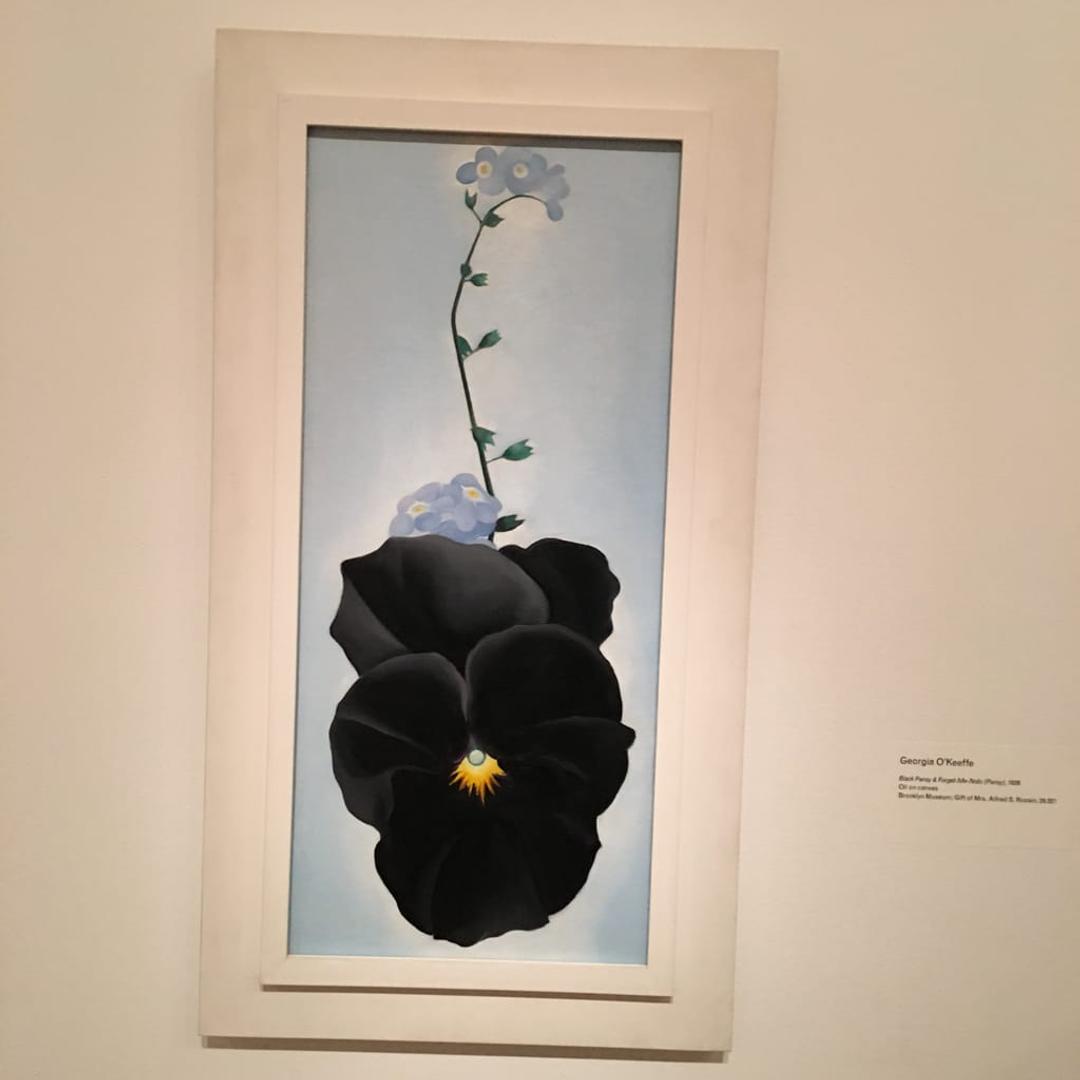 Black Pansy & Forget-Me-Nots (Pansy) · Brooklyn Museum